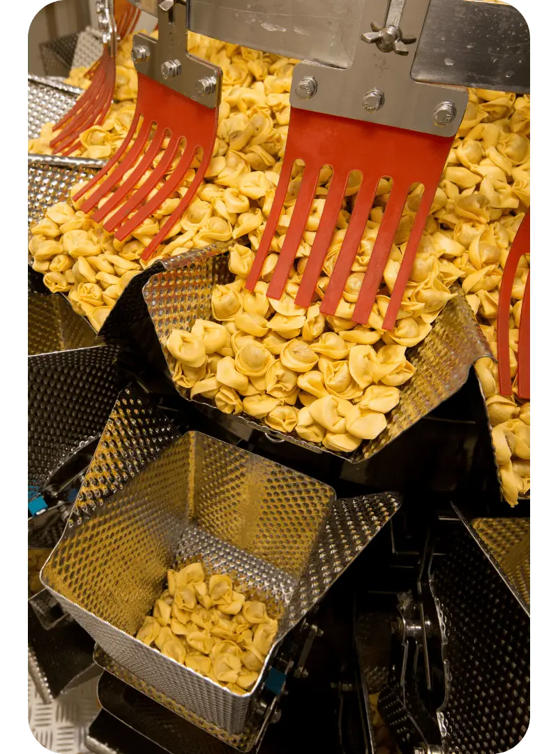 Vertical Form Fill Seal | Types of Products | Econo-Pak