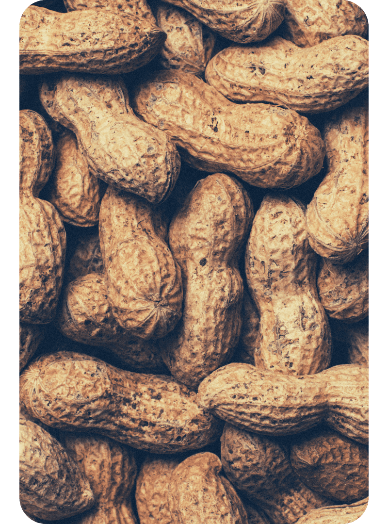 Allergen Control - Econo-Pak