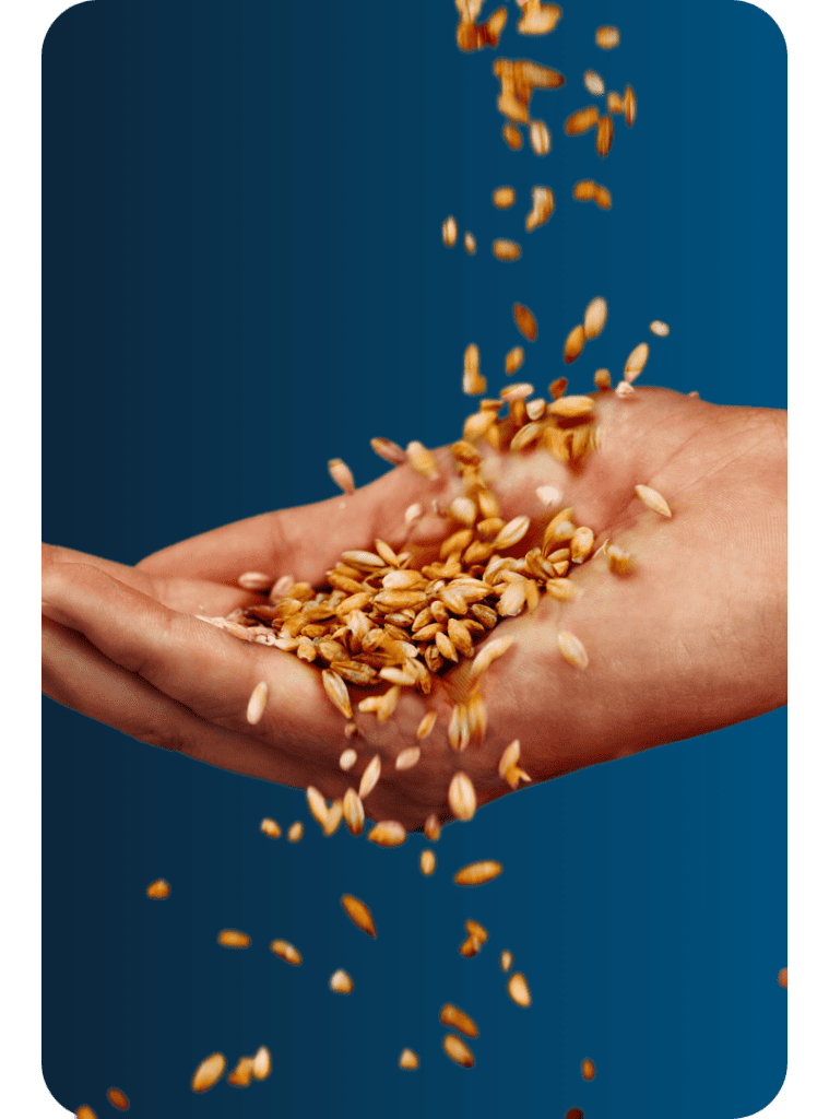 Volume Filling | Econo-Pak