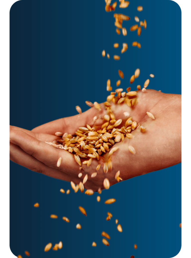 Volume Filling | Econo-Pak